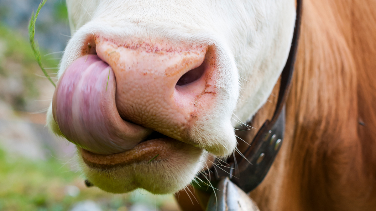 Hat Popeln etwas mit Gesundheit zu tun? | Bosch BKK